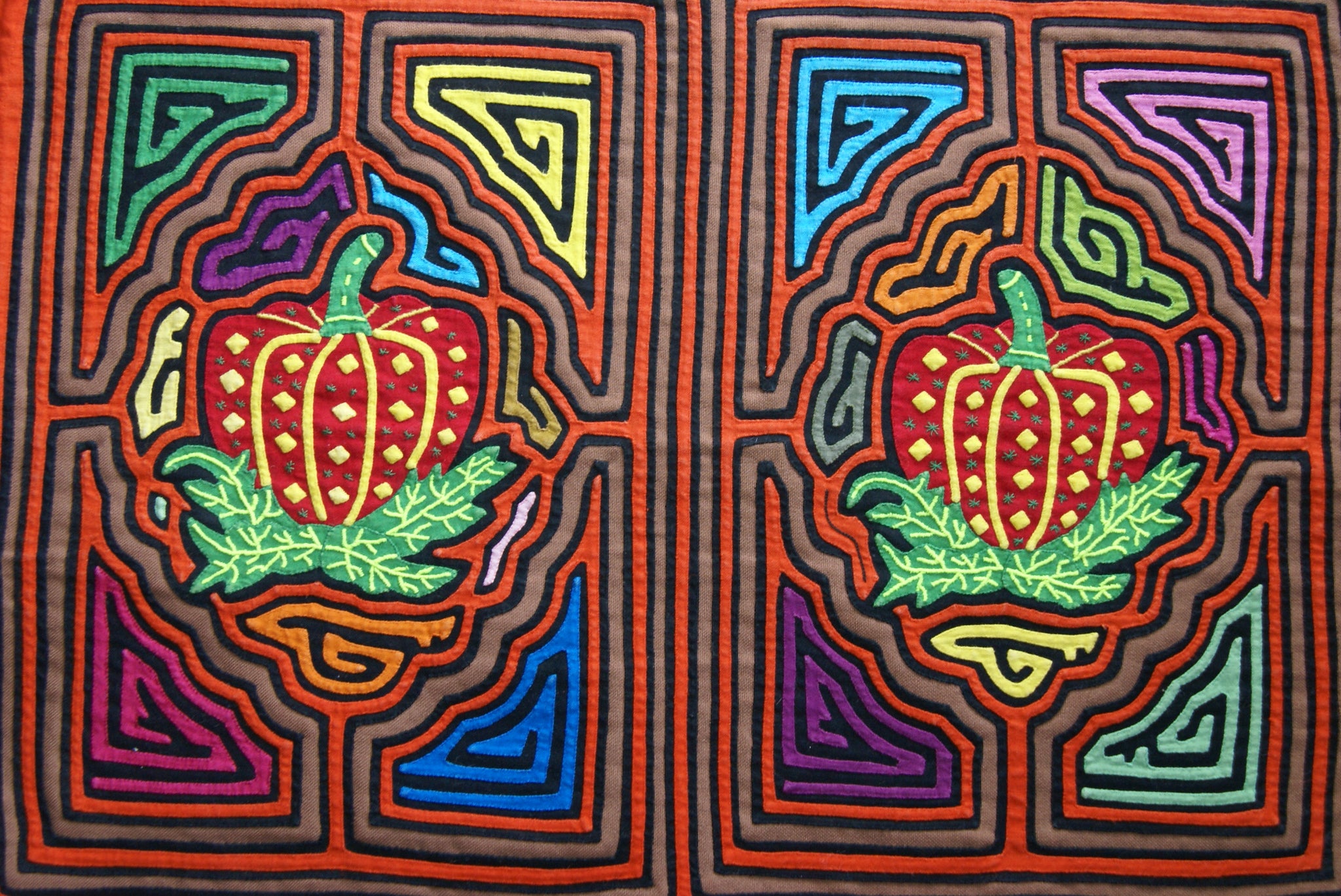 Kuna Mola Blouse Mola: Kuna People Textile Artwork | Davis