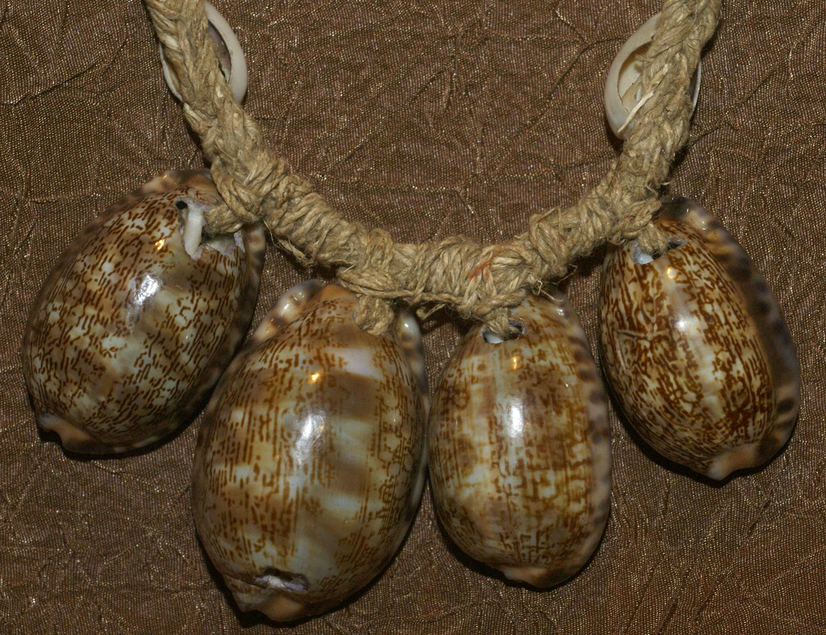 Vintage Collectible Unique Sing-Sing Nassa, Cowrie Necklace: Shells, B ...